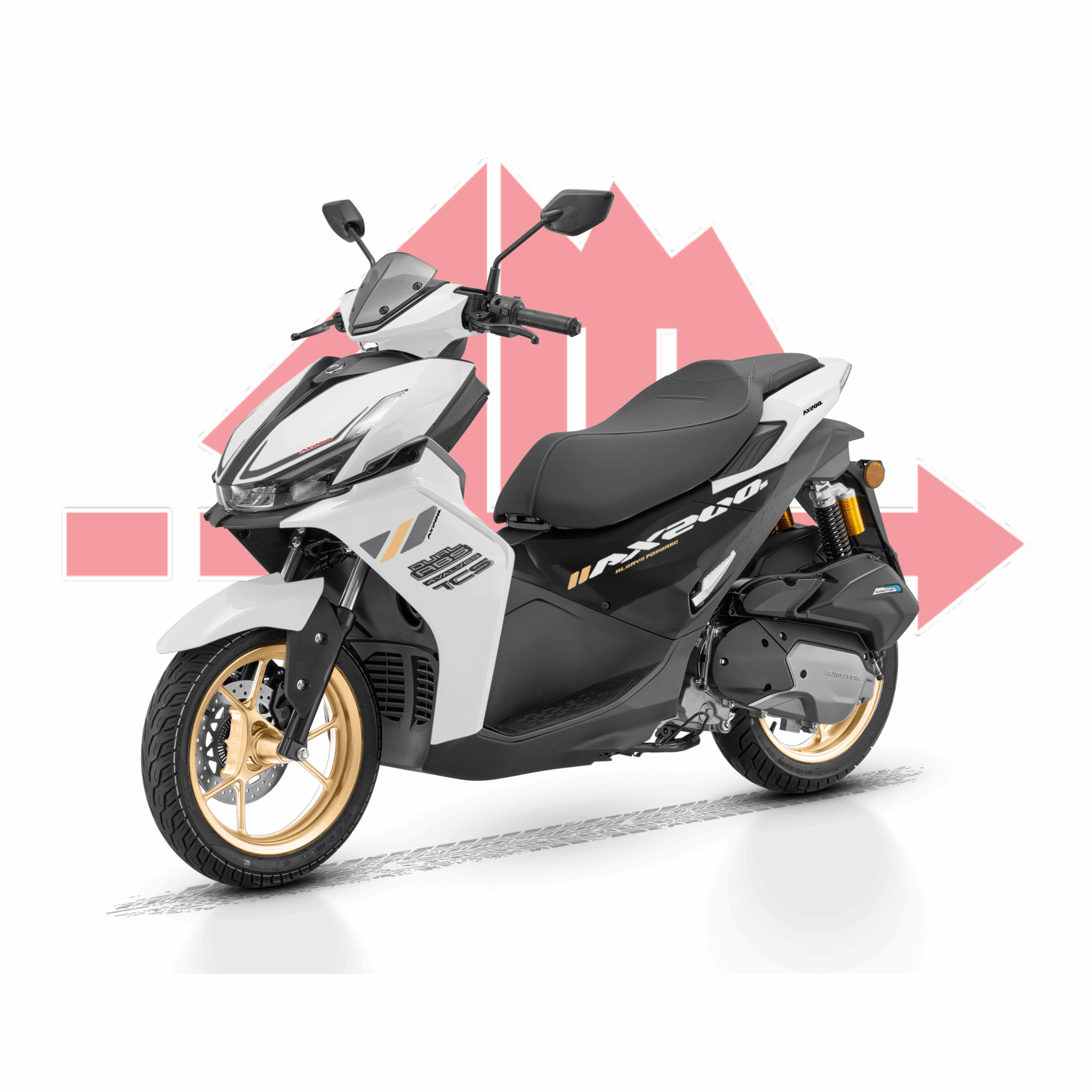 QJMOTOR AX200S - SLM Motorport